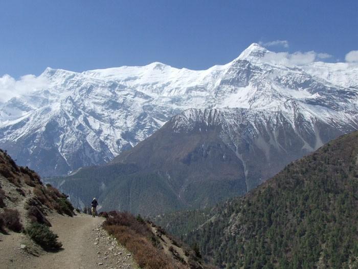 5 EASY TREKS IN NEPAL - Sali Trekking